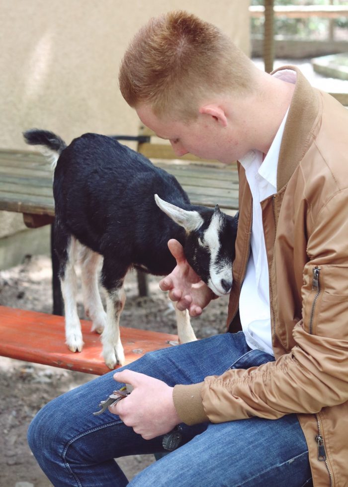 Ziege Heidi Neudorf (2) - Lavie Deboite